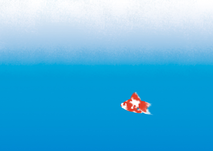 暑中お見舞い申し上げます。｜Design studio kacika（デザインスタジオカシカ）｜「見えないモノを形にする」デザイン事務所